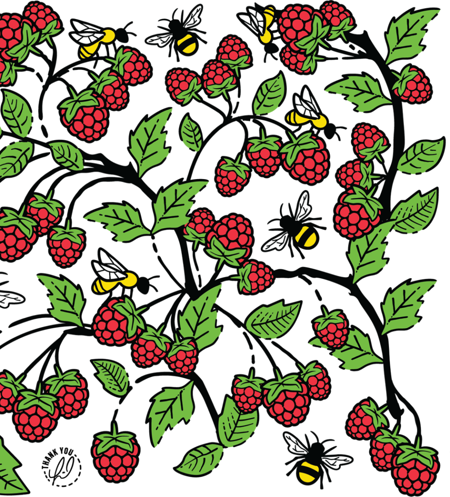 Rivi Gin Raspberry Honey - RIVI GIN